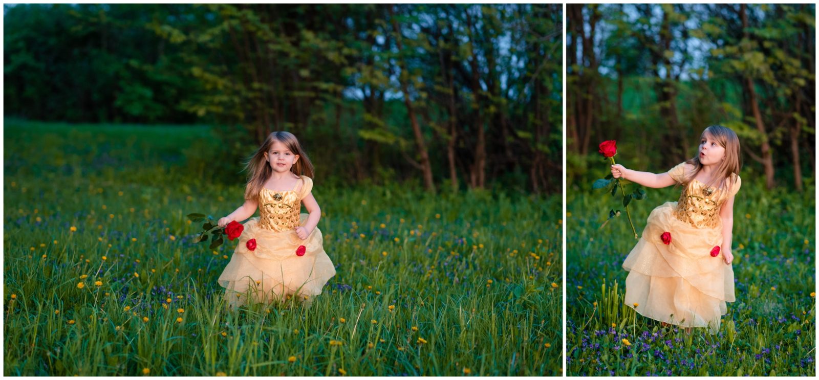 Belle Disney Princess Photoshoot | katieosbornphotography.com